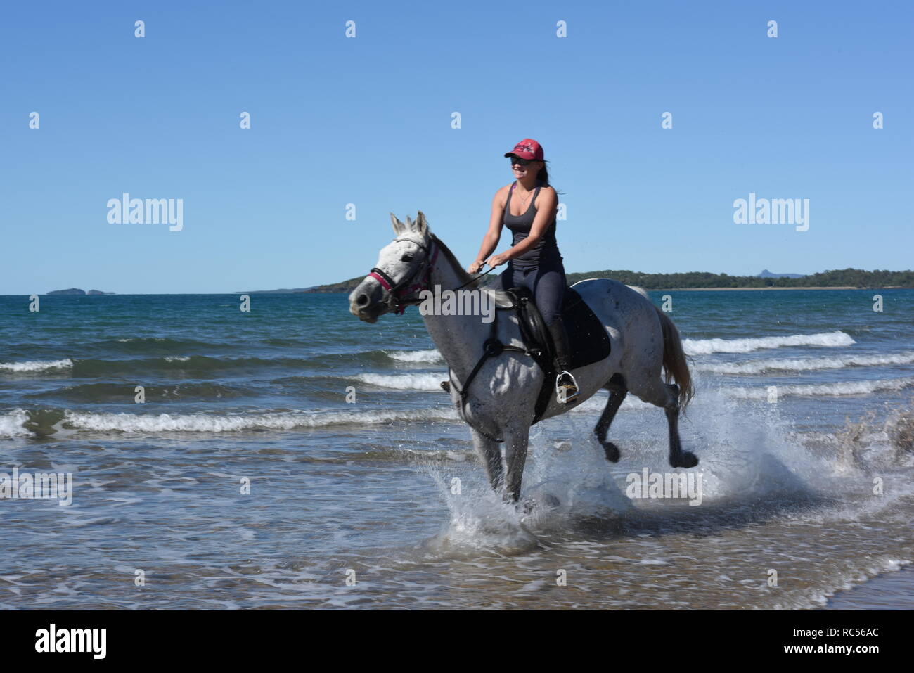 Cantering horse and rider in the shallow shoreline of Sarina Beach ...