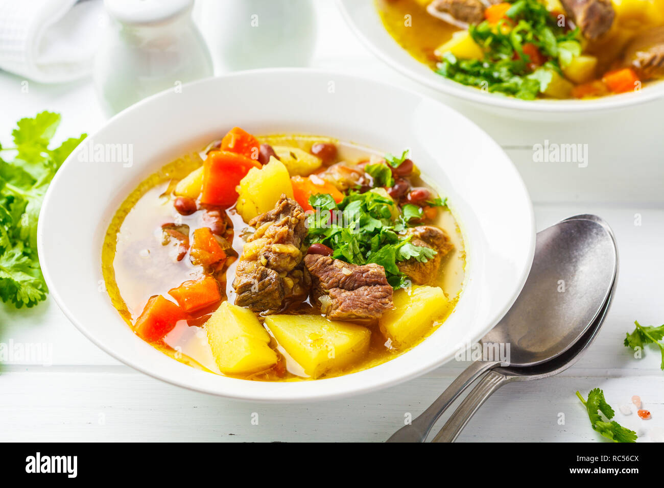 Traditional German eintopf soup with meat, beans and vegetables in a ...