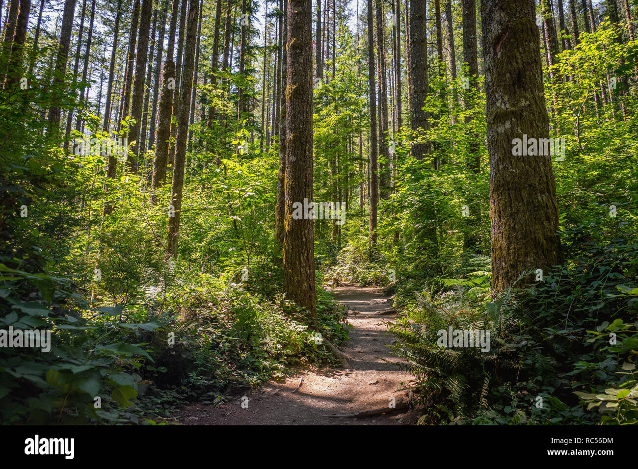 rattlesnake ridge trail Stock Photo - Alamy