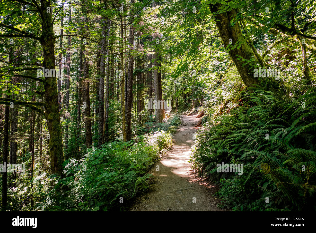 Rattlesnake ridge trail hi-res stock photography and images - Alamy