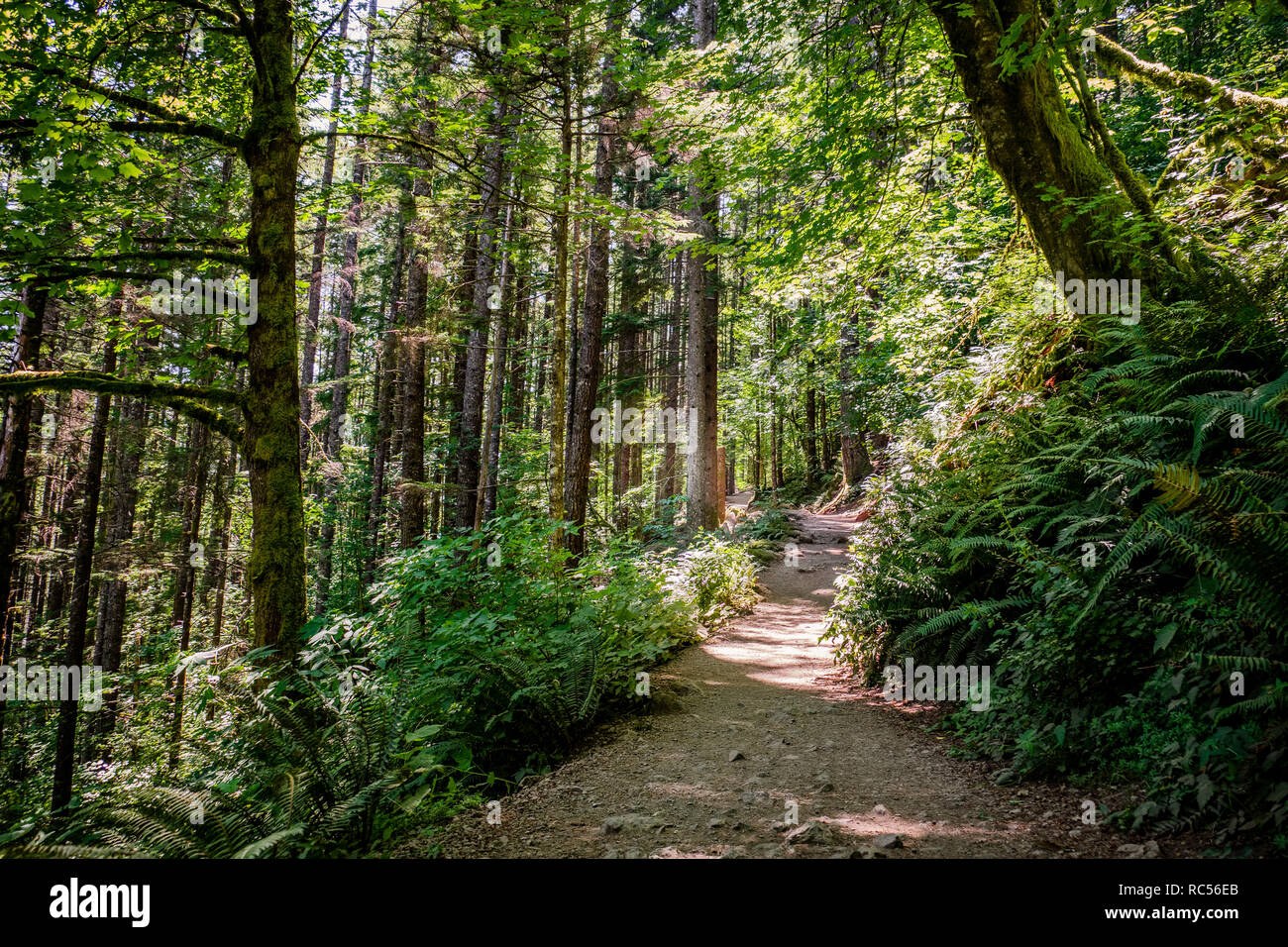 rattlesnake ridge trail Stock Photo - Alamy