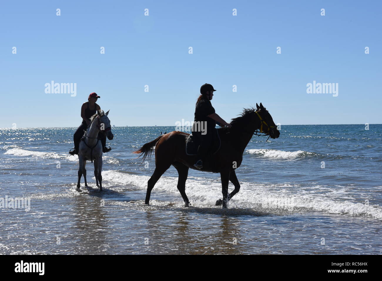 Two riders on horses at Sarina Beach Stock Photo - Alamy