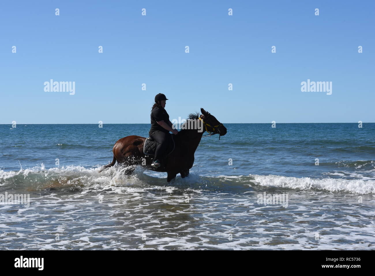 Horse Riding Exercise Beach High Resolution Stock Photography and ...