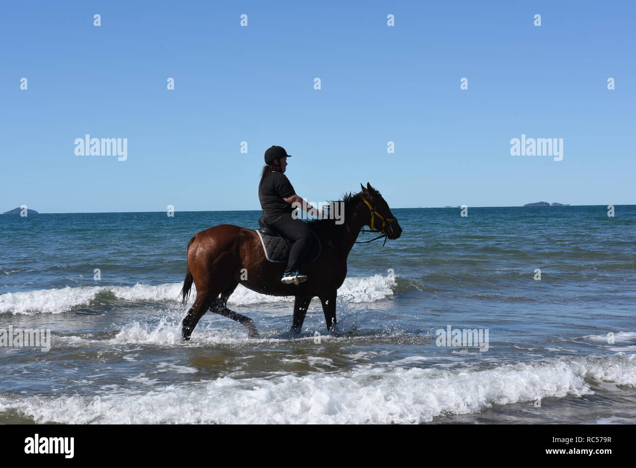 Horse riding on the beach Stock Photo - Alamy