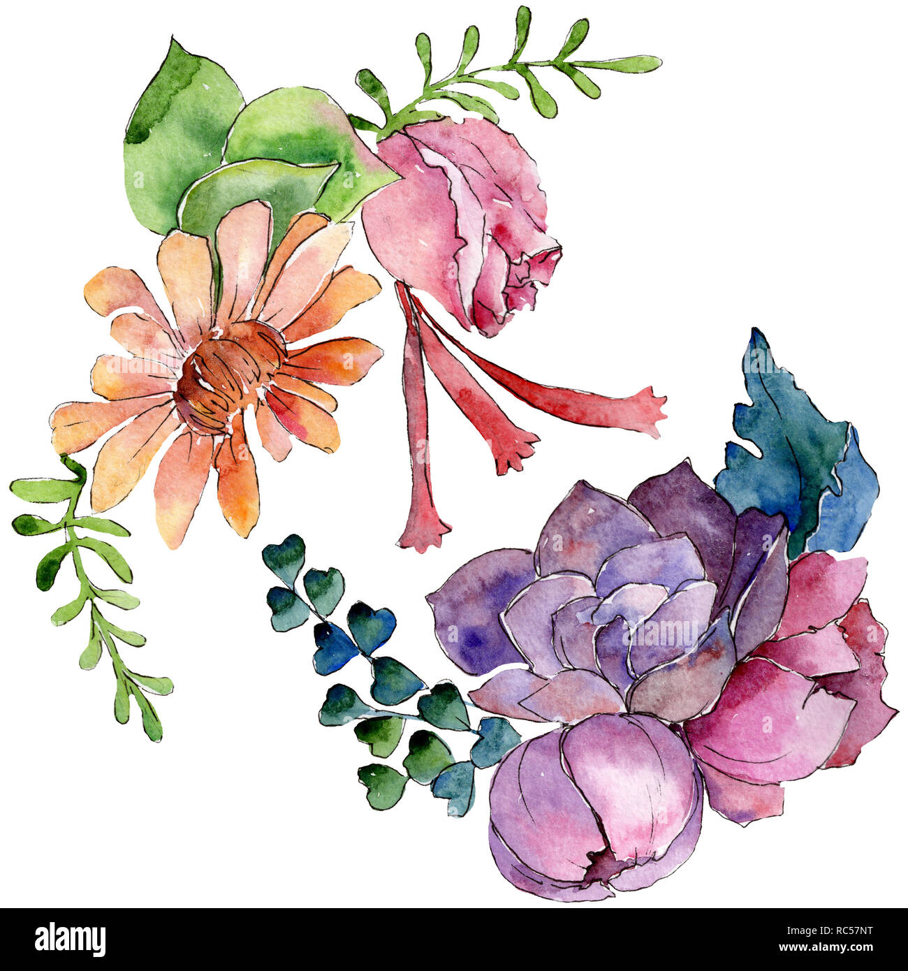 Bouquet floral botanical flowers. Watercolor background illustration ...