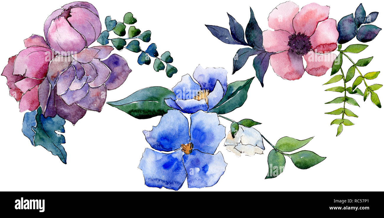 Bouquet floral botanical flowers. Watercolor background illustration ...