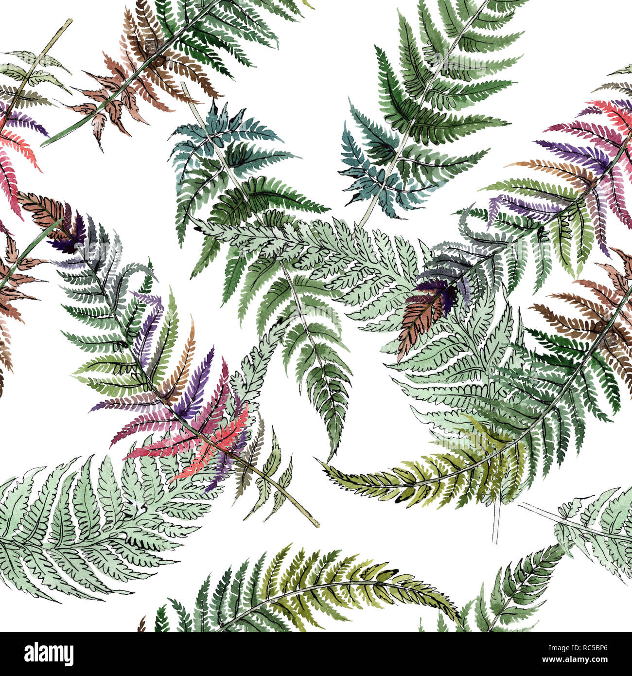 Fern green leaf. Plant botanical floral foliage. Watercolor background ...