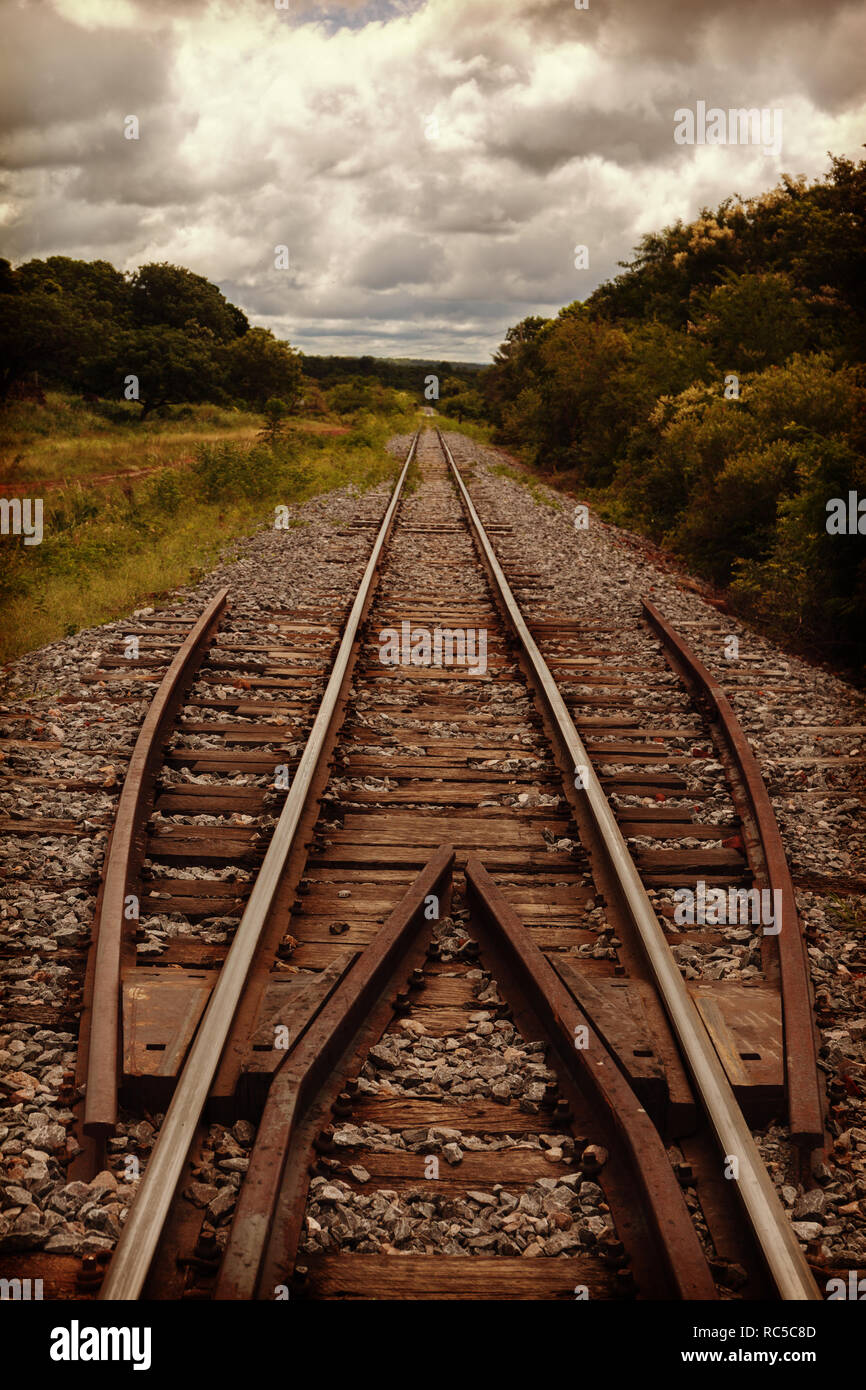 Railroad tracks in the middle of wildlife. Dramatic sky with clouds ...