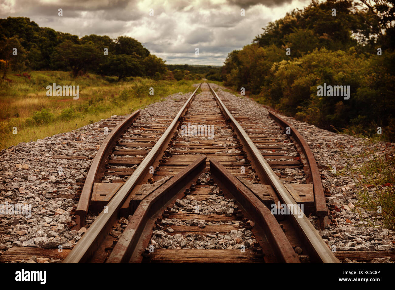 Railroad tracks in the middle of wildlife. Dramatic sky with clouds ...