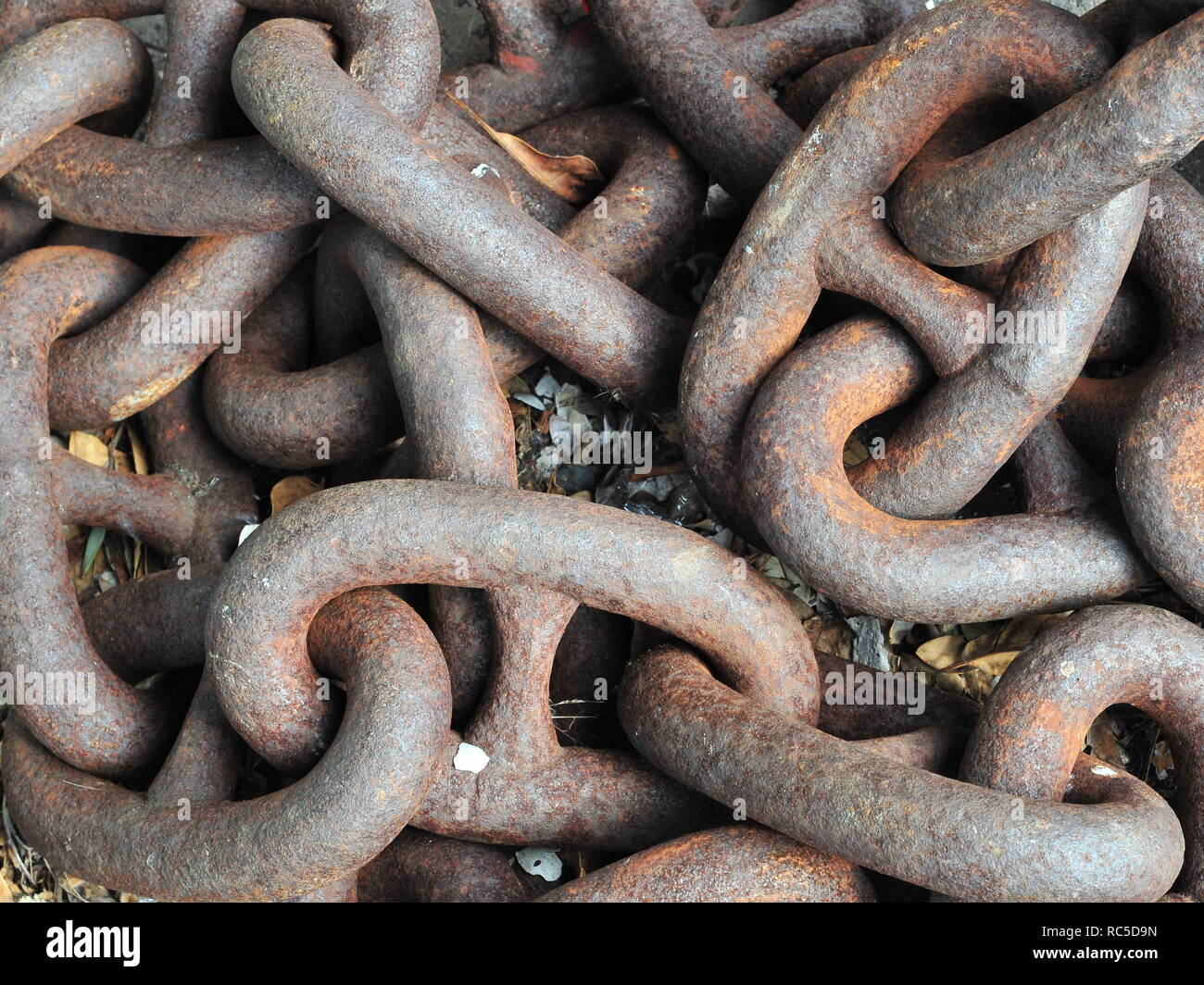 Oval rusty links of massive old unused chain laying on ground in pile ...
