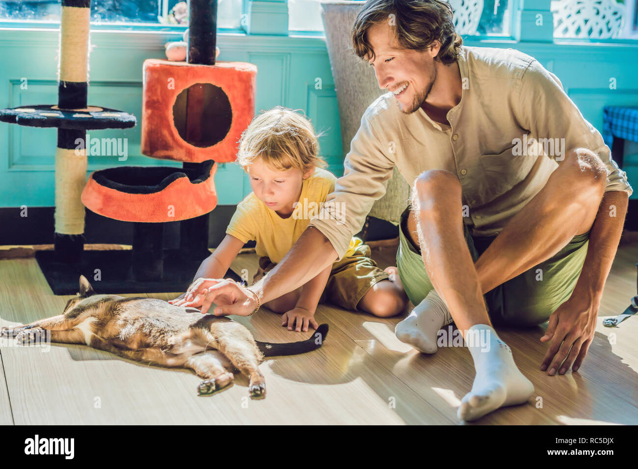 Father cat hi-res stock photography and images - Alamy