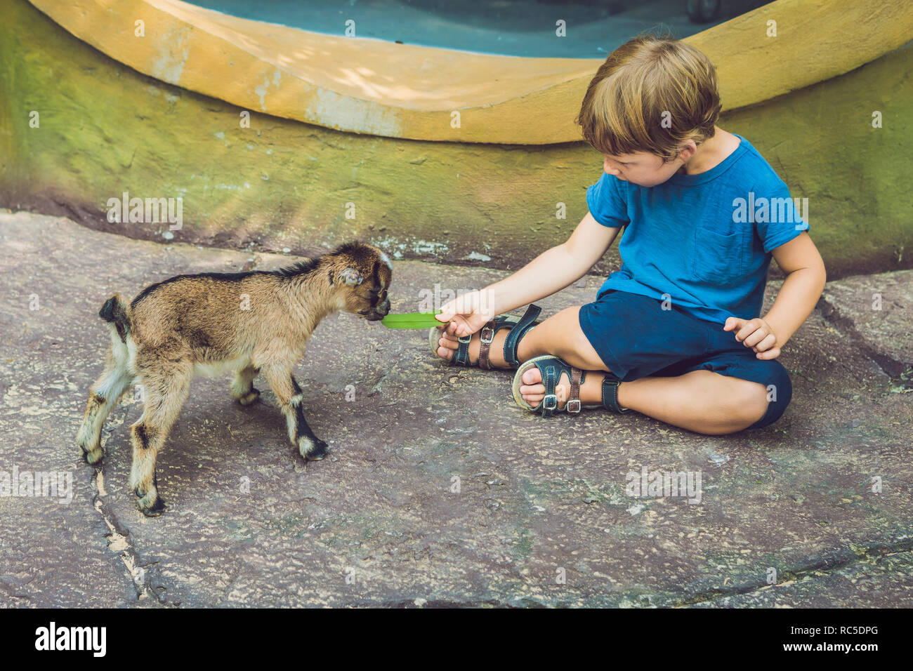 Boy Goat Farm Child Feeding High Resolution Stock Photography and ...