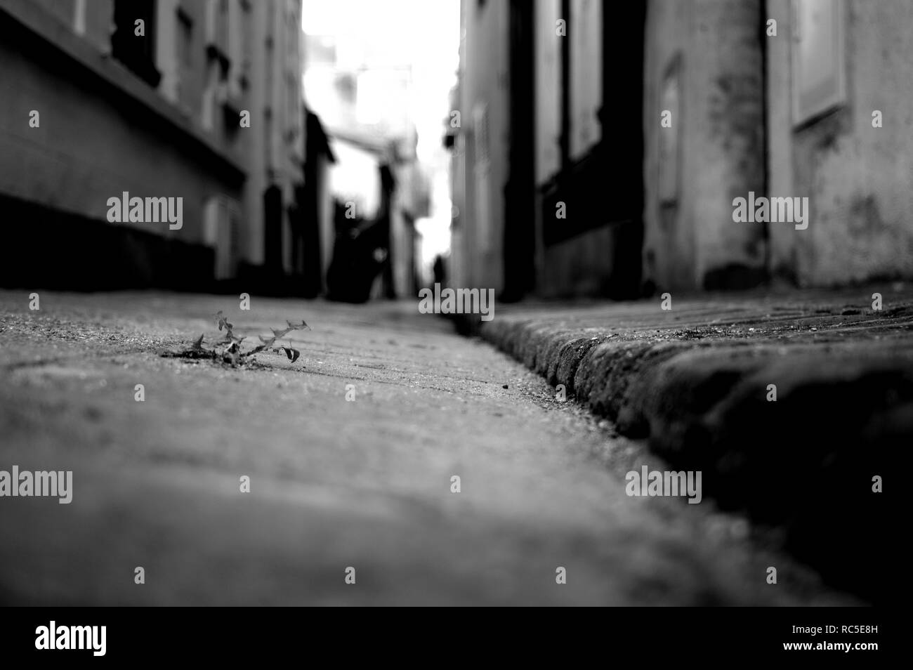 Low Angle Street Photography