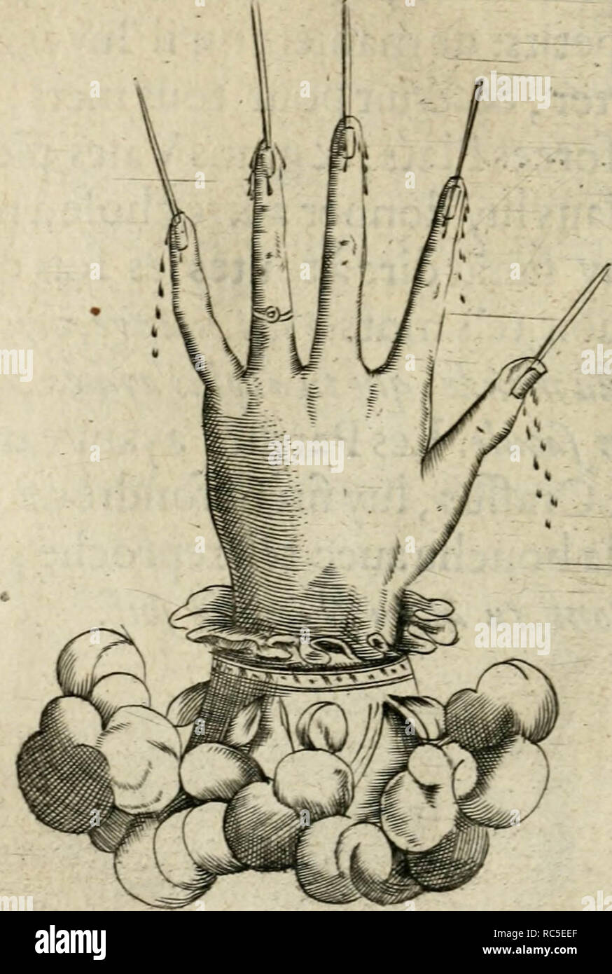 "Devises heroiques et emblemes" (1622 Stock Photo - Alamy