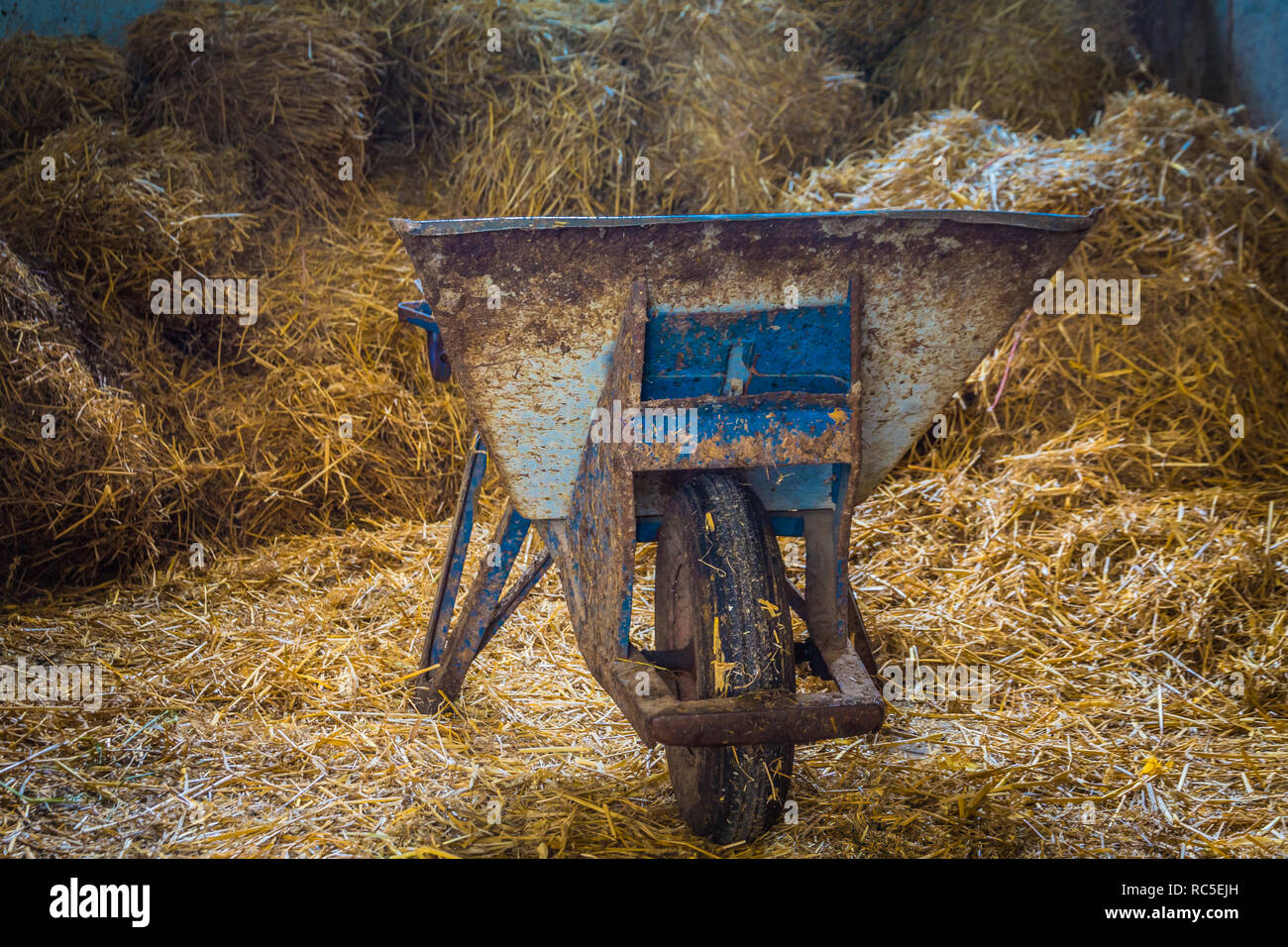Orange wheel barrow hi-res stock photography and images - Alamy