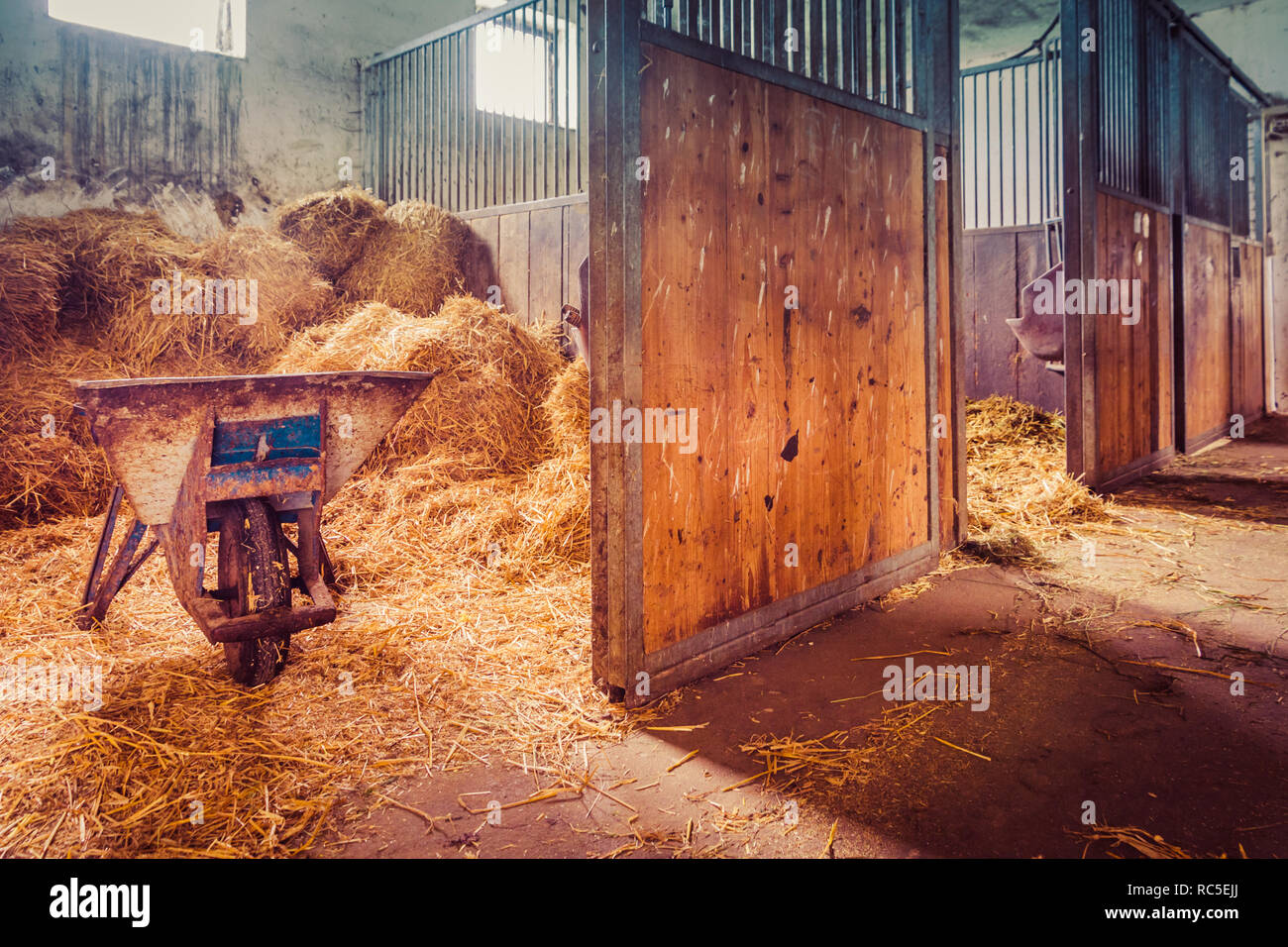 Horse stall door hi-res stock photography and images - Alamy