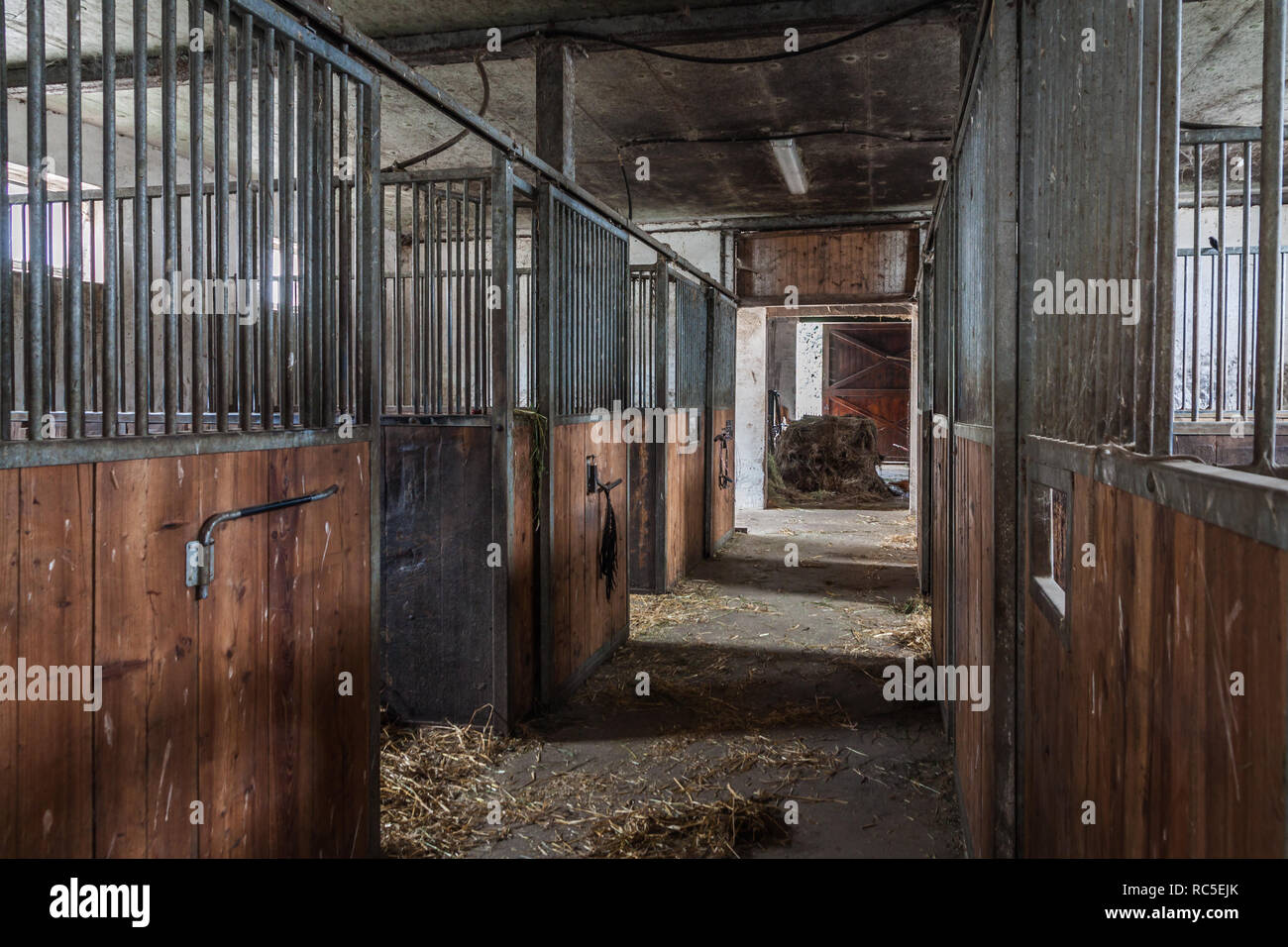 Inside horse box hi-res stock photography and images - Alamy