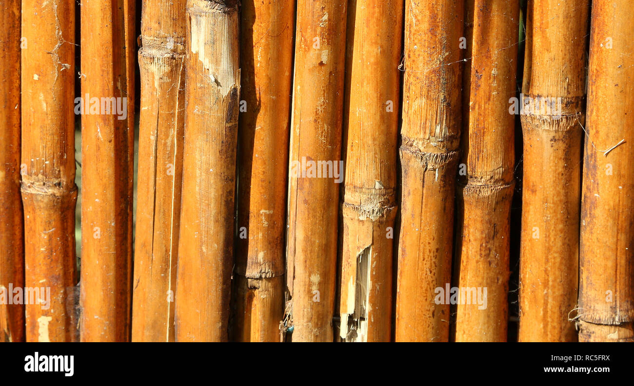 Long bamboo poles hi-res stock photography and images - Alamy