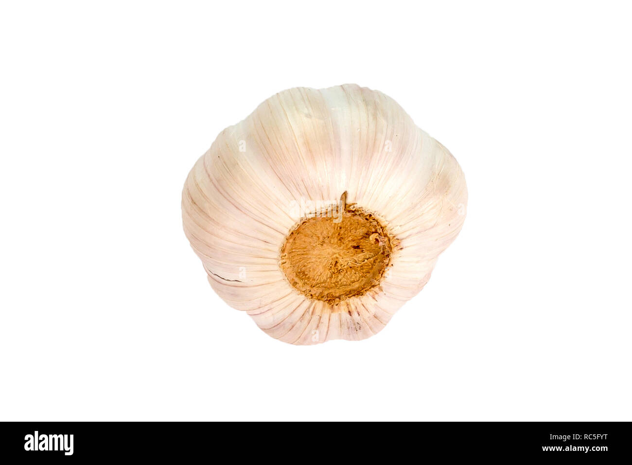 Garlic is a native spice used in cooking, images isolated on whi Stock ...