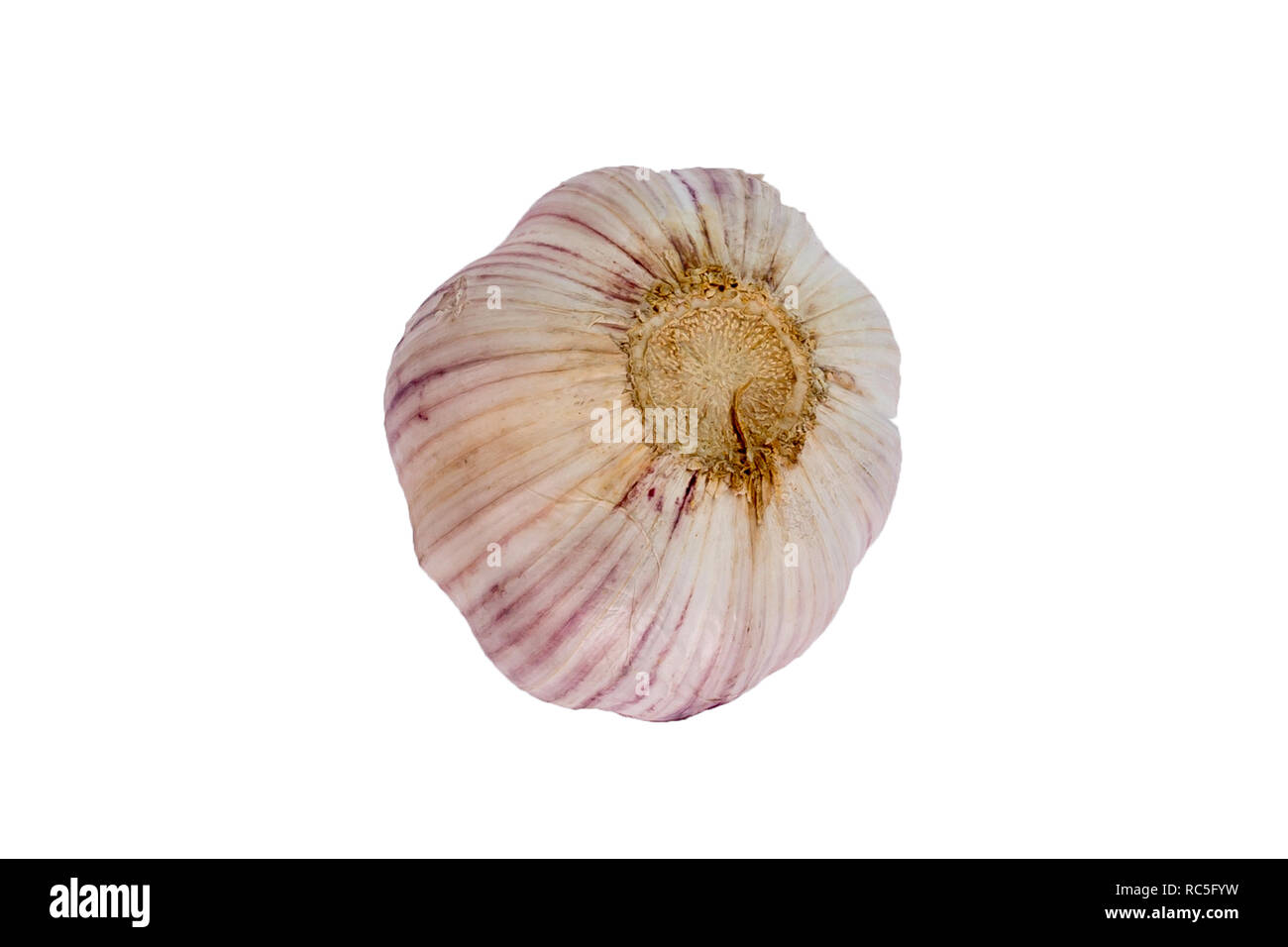 Garlic is a native spice used in cooking, images isolated on whi Stock ...