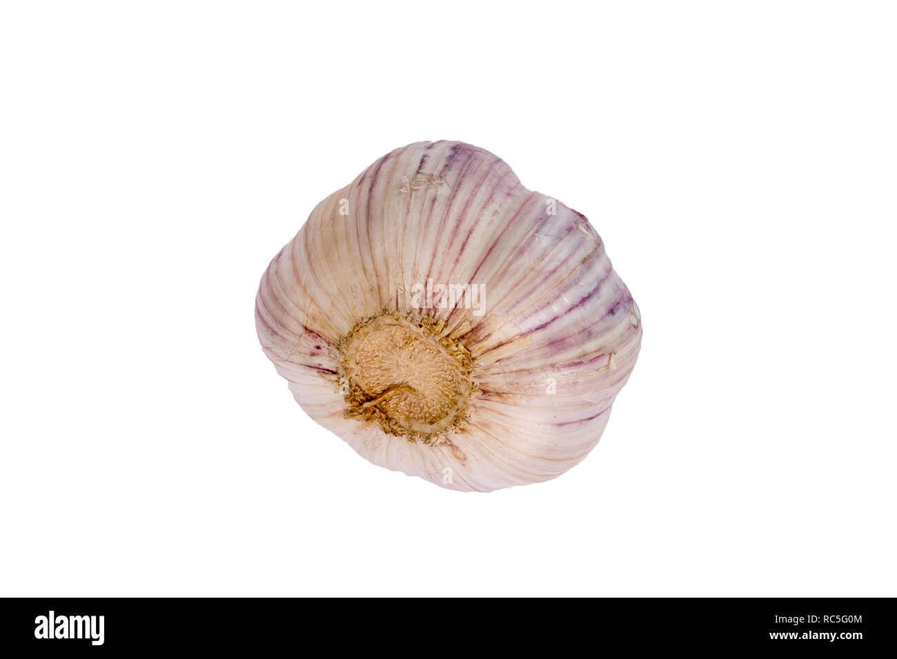 Garlic is a native spice used in cooking, images isolated on white ...