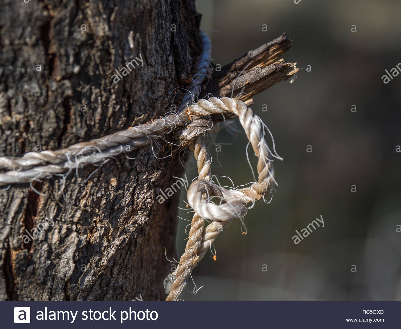 Tied To Anchor Stock Photos & Tied To Anchor Stock Images - Alamy