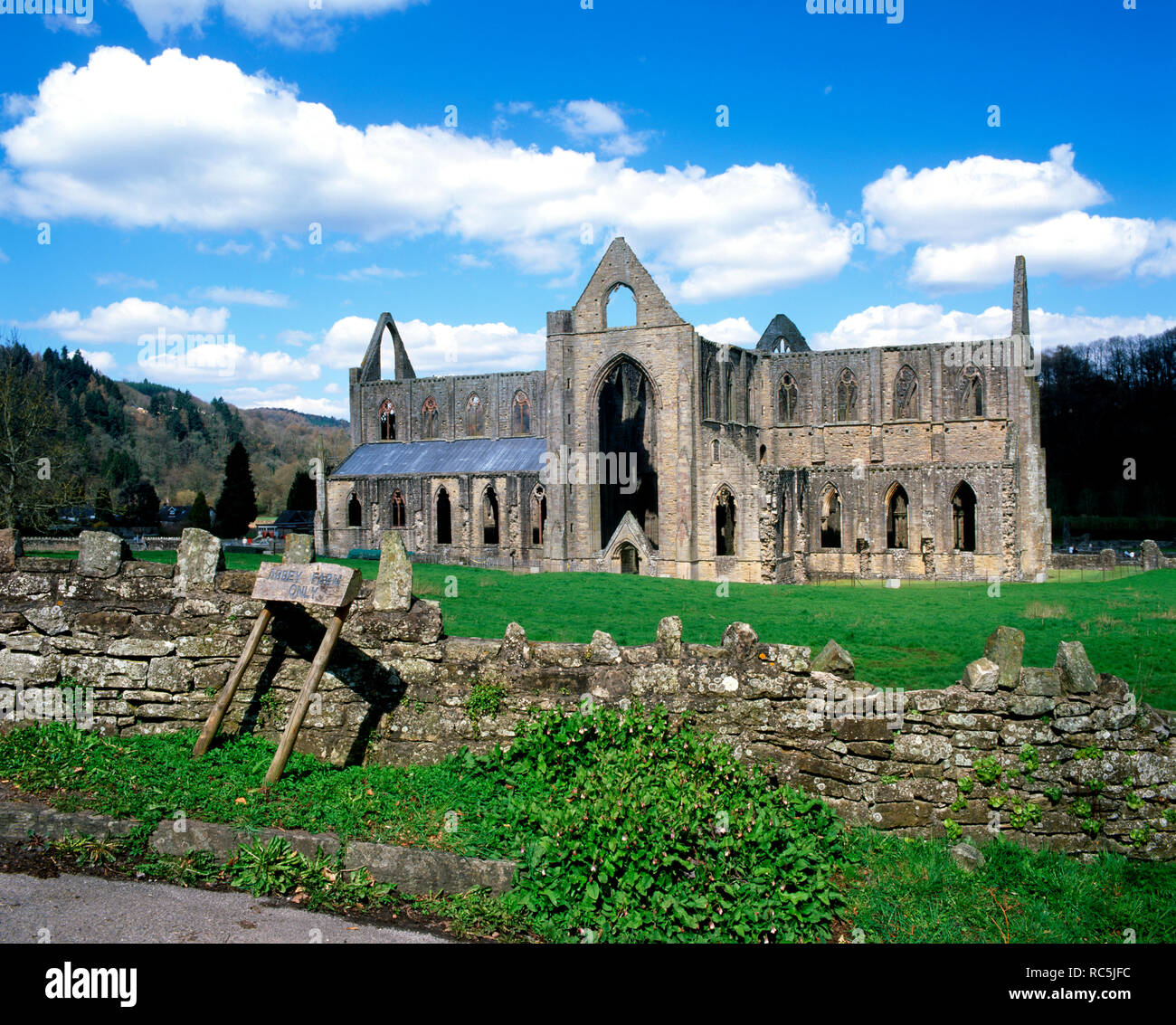 Tintern abbey wye valley wales hi-res stock photography and images - Alamy