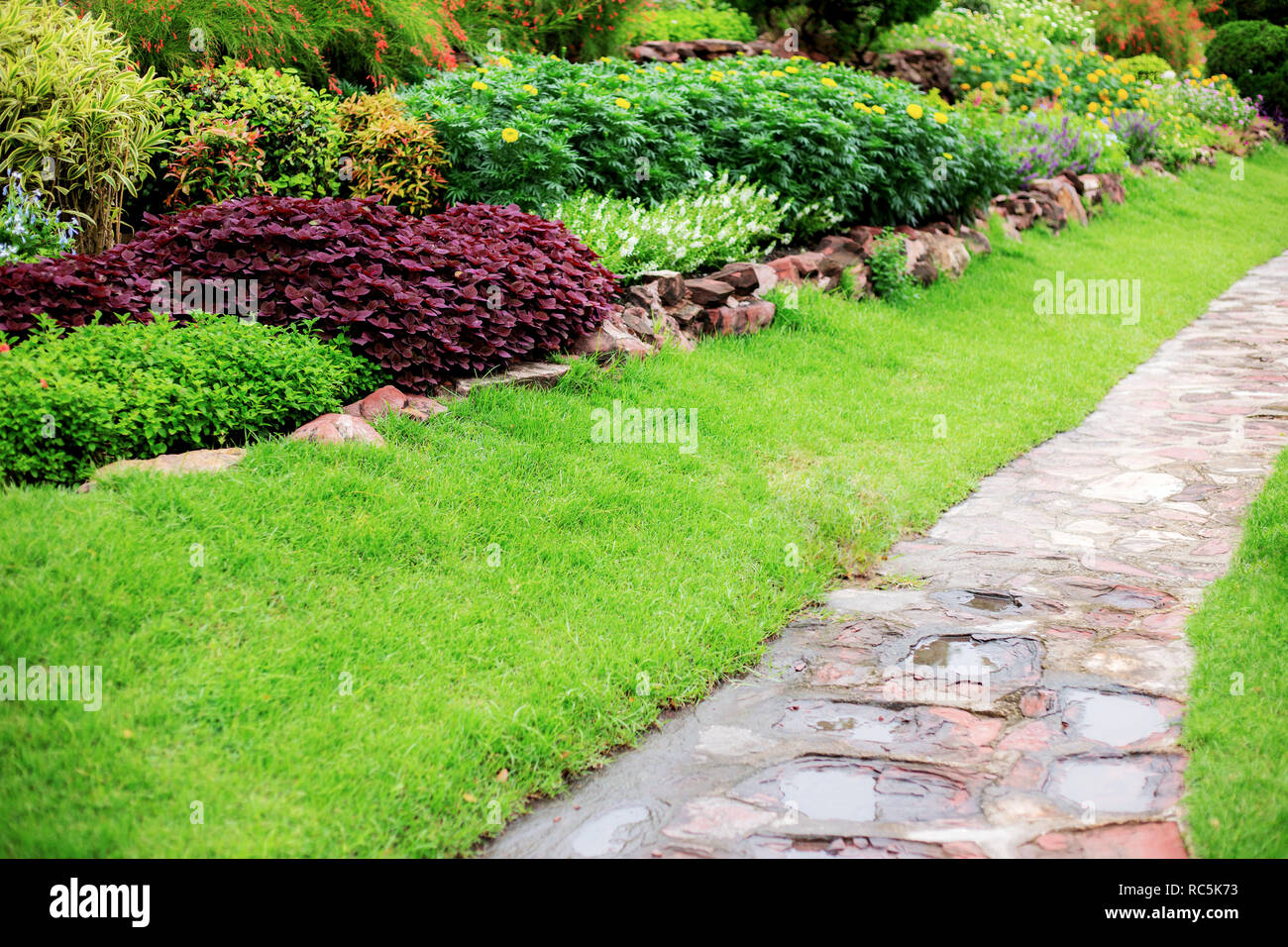 Green grass and walkway in garden with sunlight Stock Photo - Alamy