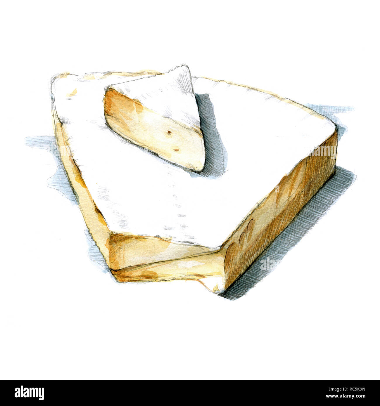 Brie watercolor illustration on white background Stock Photo - Alamy