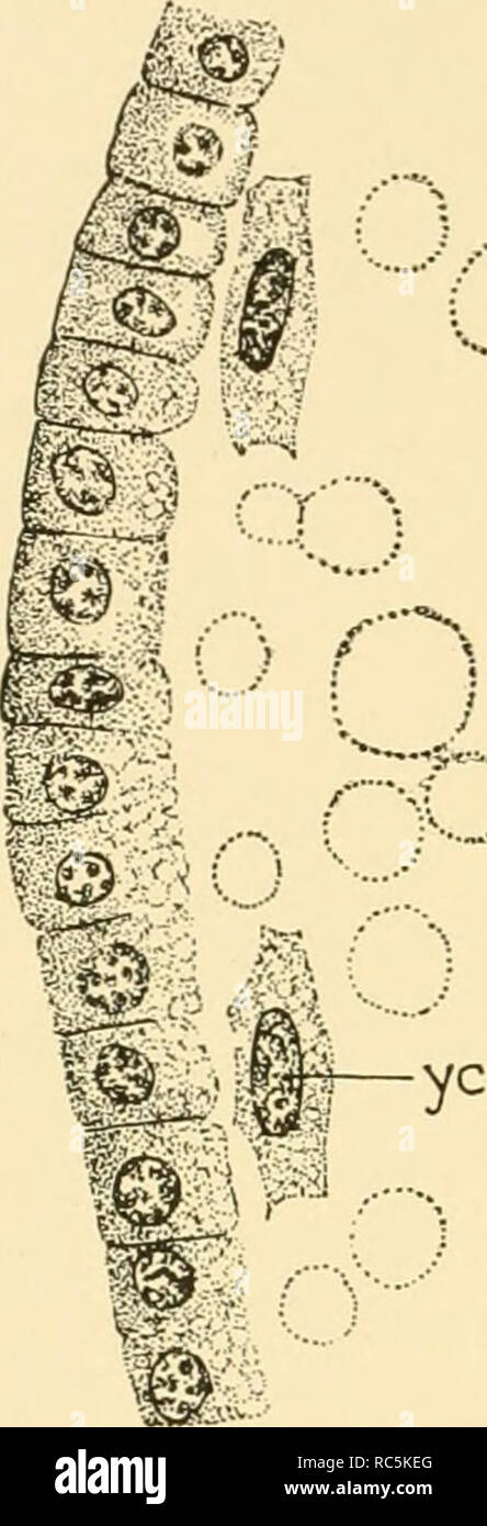 Ephem hi-res stock photography and images - Alamy