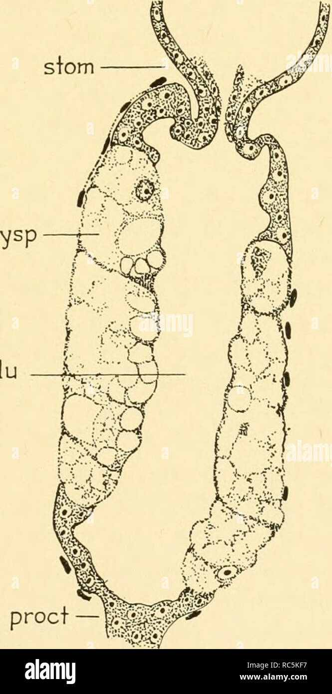 Proct High Resolution Stock Photography and Images - Alamy