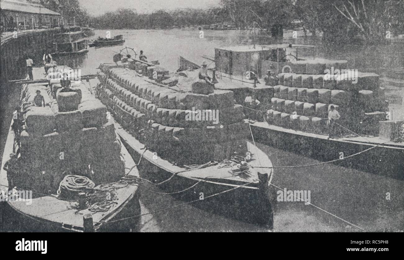 'Wool Barges on the Murray River', 1923. Creator: Unknown Stock Photo ...