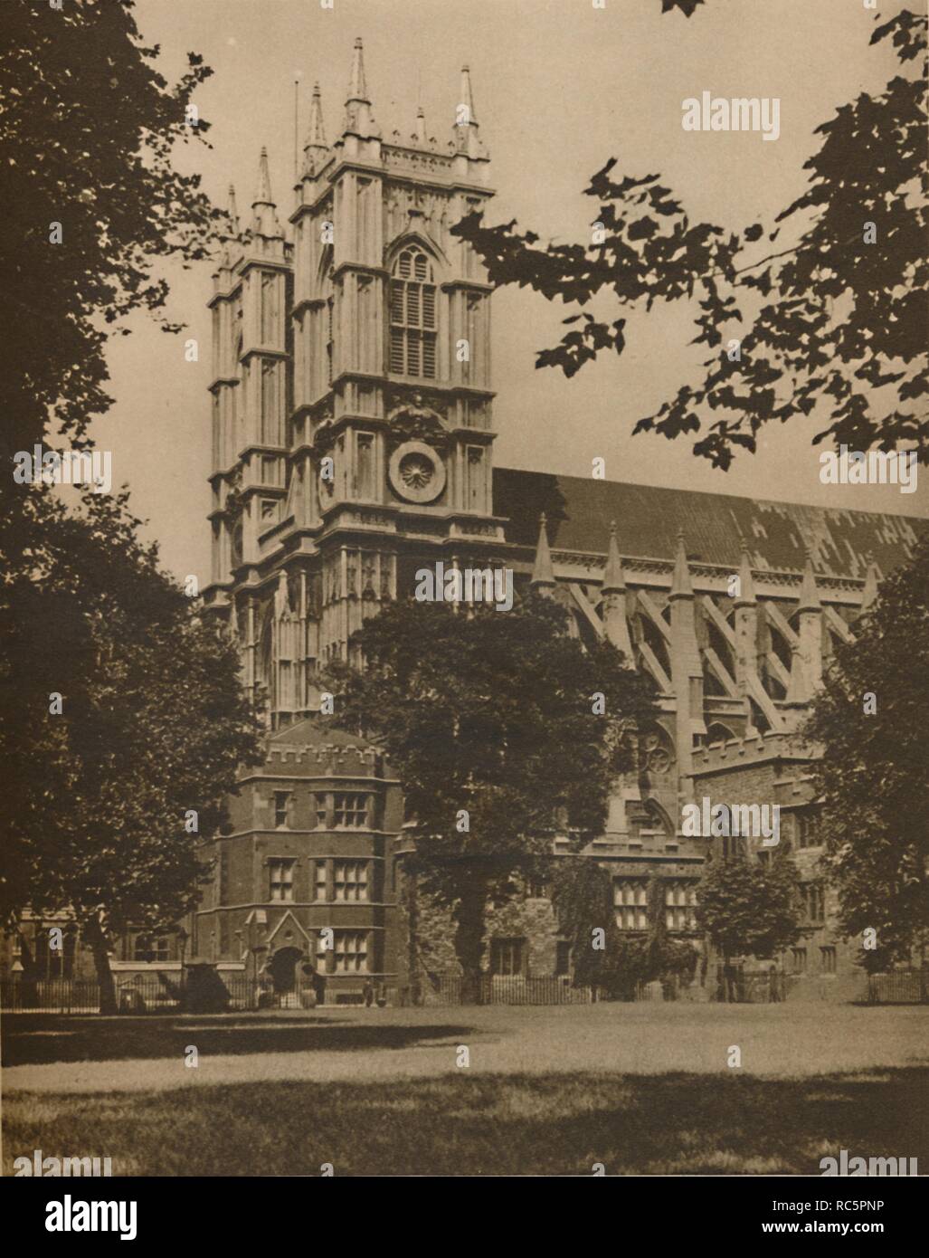 White elms hi-res stock photography and images - Alamy