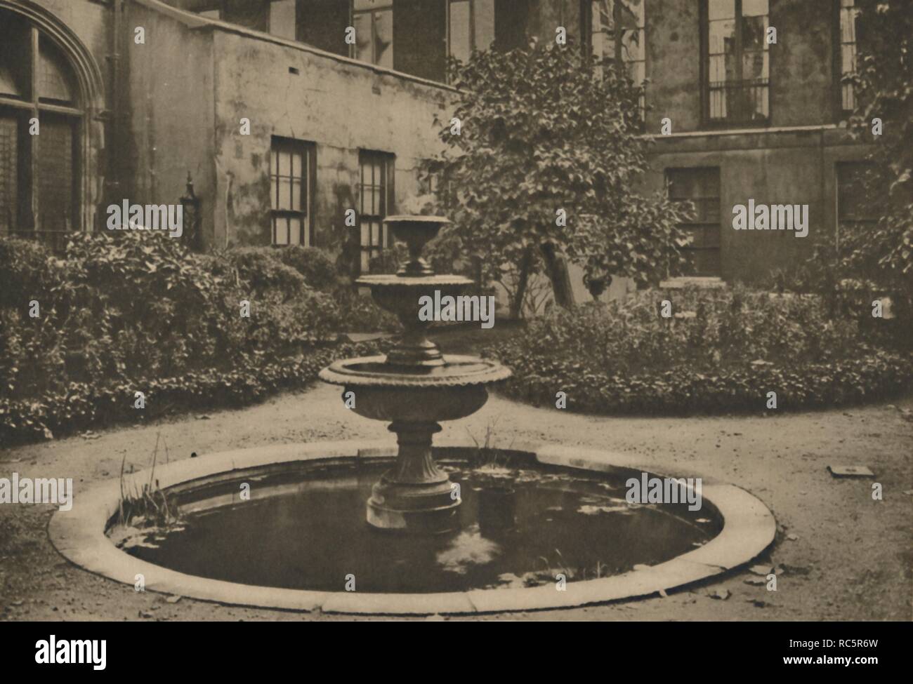 'Ancient Mulberry Tree and Fountain in the Garden of Drapers' Hall ...