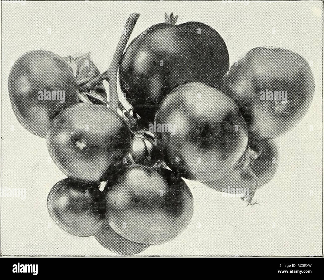 Val Seeds High Resolution Stock Photography and Images - Alamy