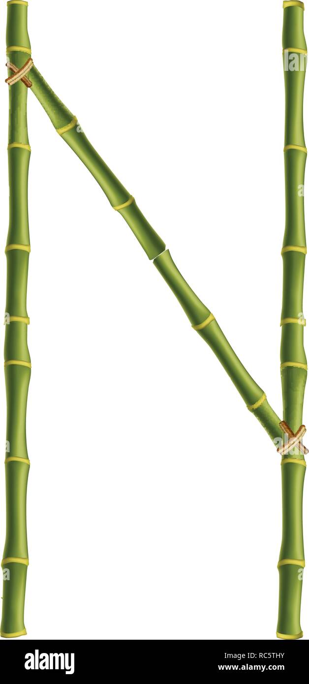 Vector bamboo alphabet. Capital letter N made of realistic green bamboo ...