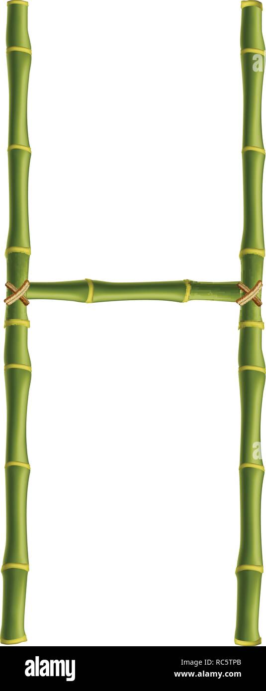 Vector bamboo alphabet. Capital letter H made of realistic green bamboo ...
