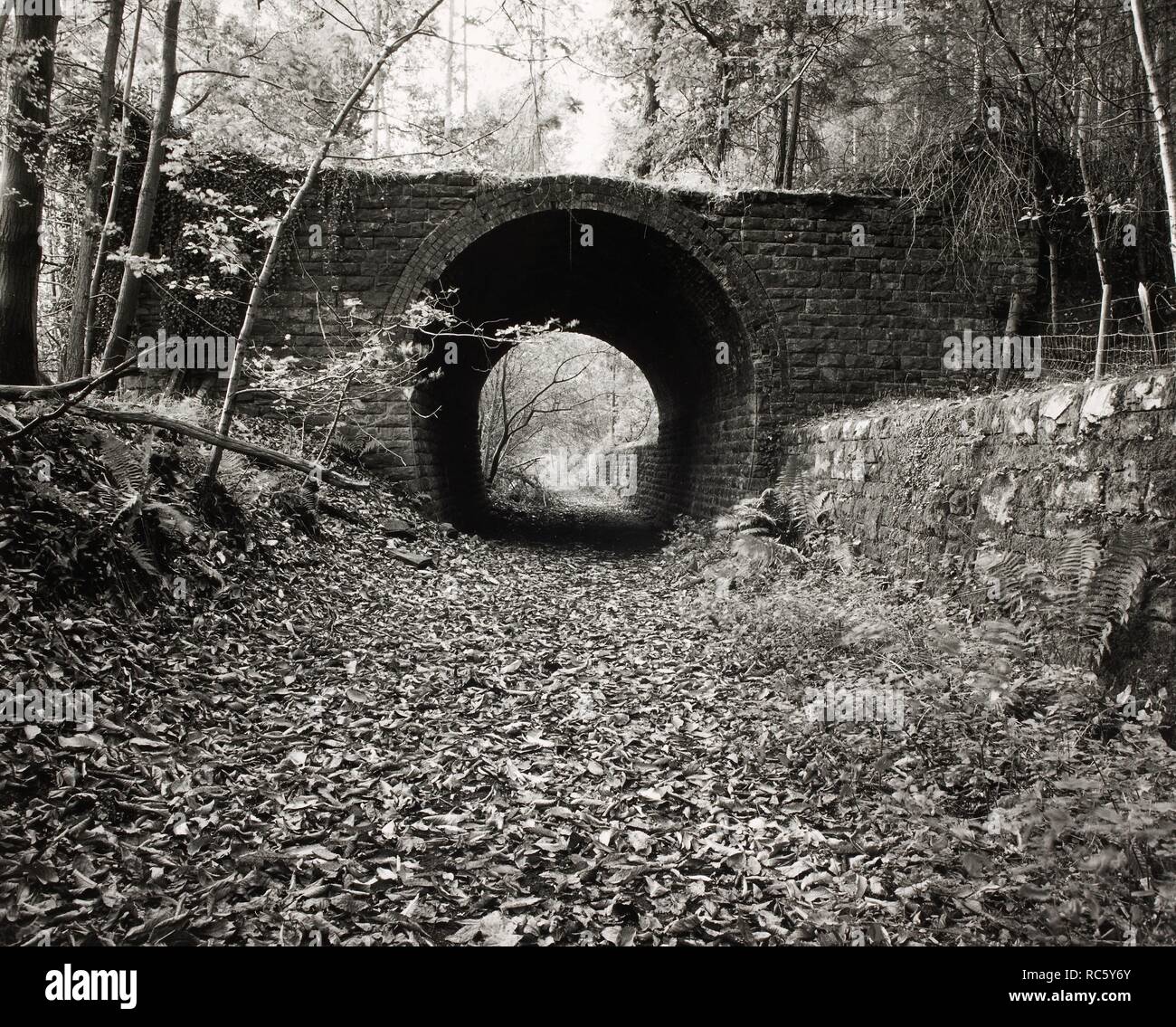 One Way Bridge at Trafalgar 1985 From the Forest of Dean Series ...
