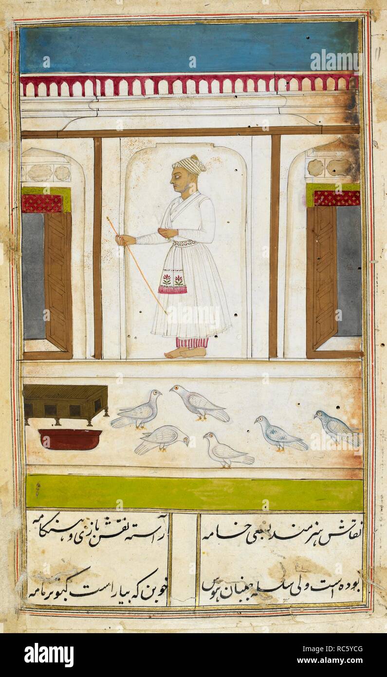 Kabutar hi-res stock photography and images - Alamy