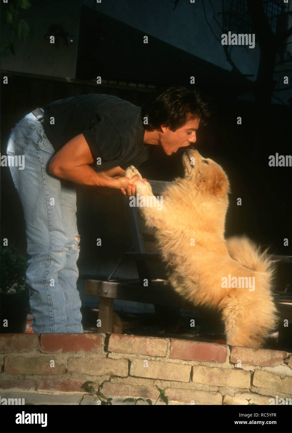 LOS ANGELES, CA - AUGUST 28: (EXCLUSIVE) Actor/stuntman Greg ...