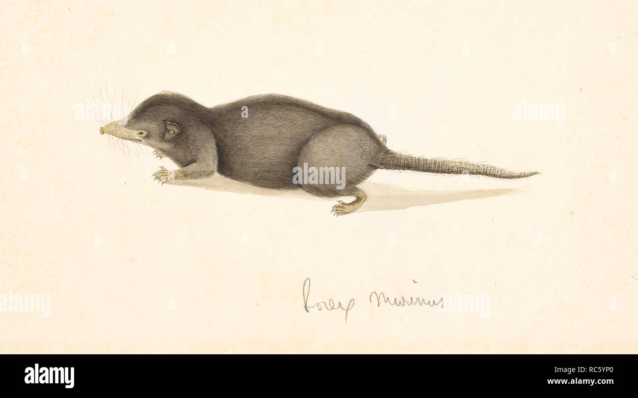 1805 42 hi-res stock photography and images - Alamy