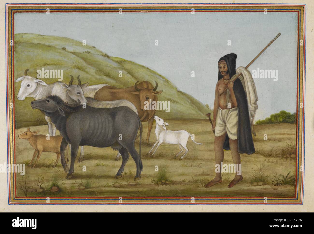 Cowherd indigenous hi-res stock photography and images - Alamy