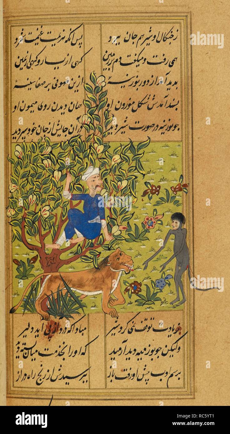 árbol león hi-res stock photography and images - Alamy