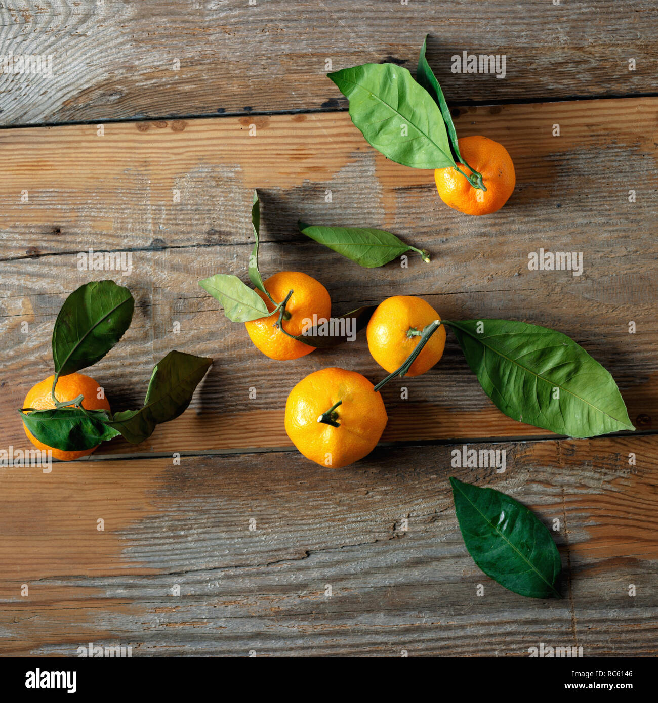 Clementine mandarins hi-res stock photography and images - Alamy