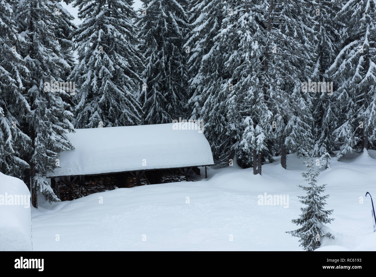 A cabin in deep snow in front of forest Stock Photo - Alamy