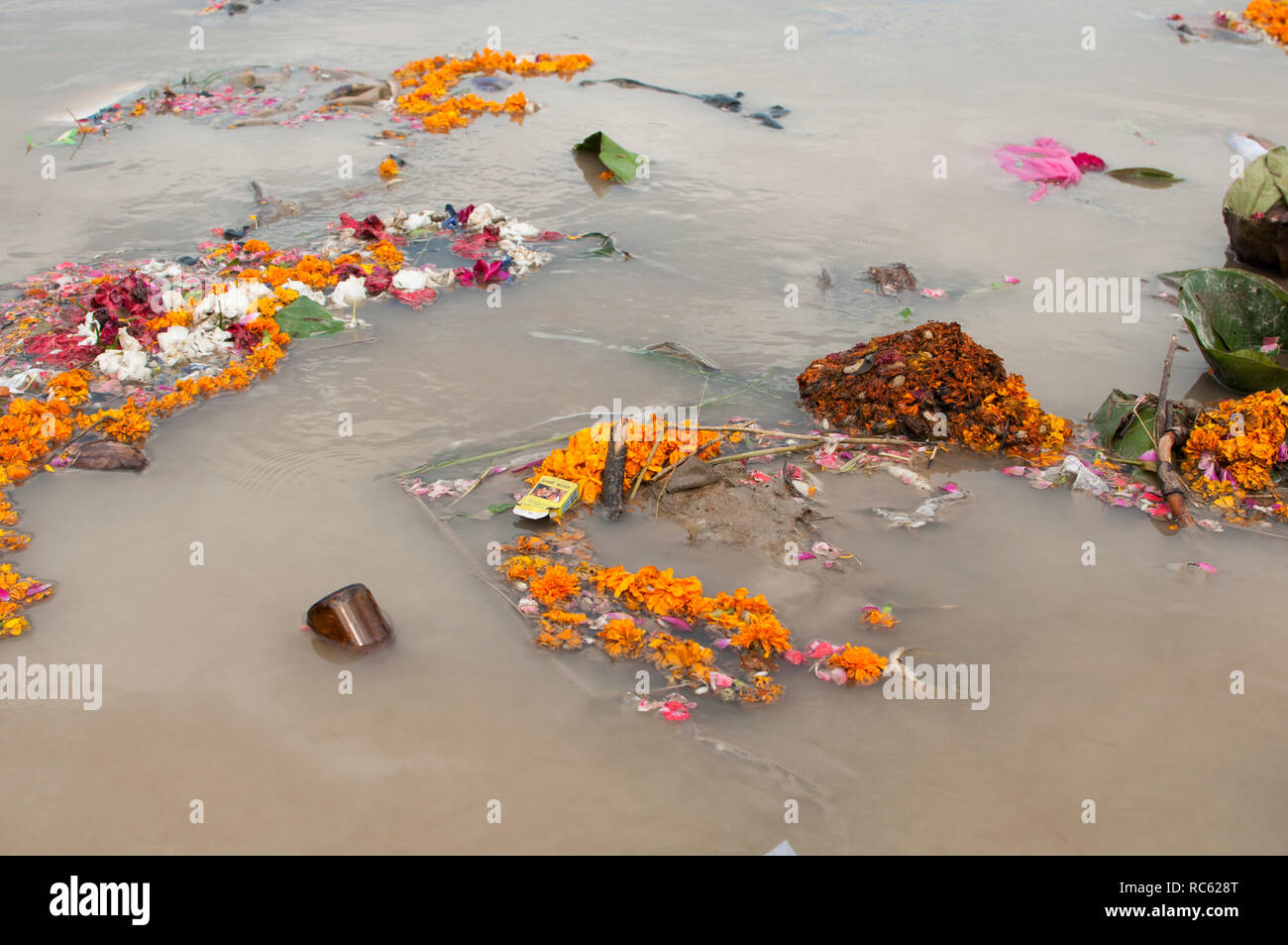 Holy ritual by the river ganga hi-res stock photography and images - Alamy