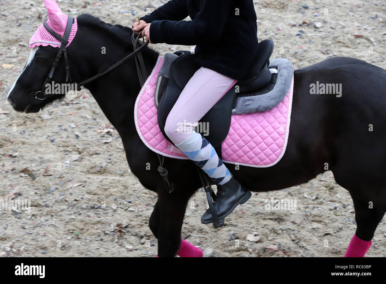 Rider girl at advanced dressage test on equestrian competition Stock ...