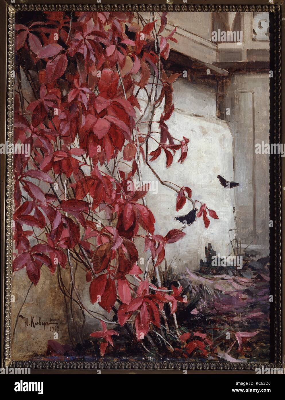 Virginia creeper. Museum: State Open-air Museum Peterhof, St ...