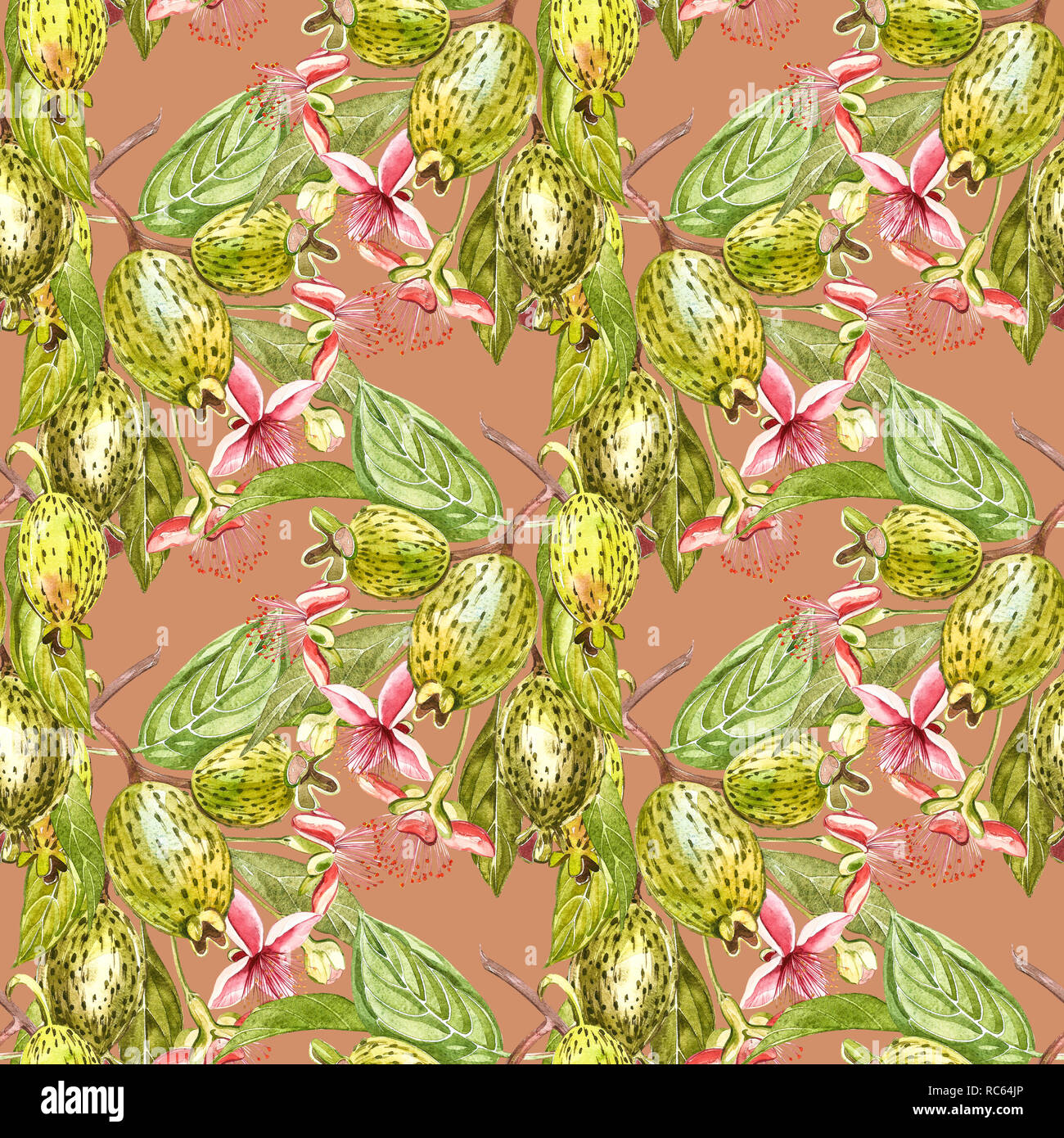 Watercolor illustration feijoa plant. Hand drawn watercolor painting on ...