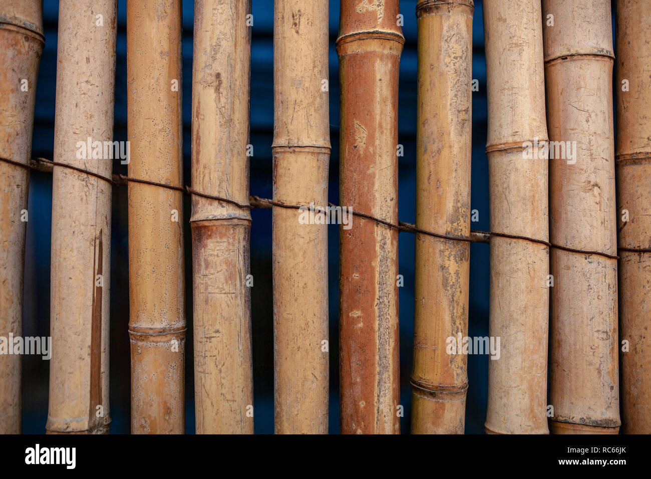 Dry Bamboo Wall tied with rope Texture Background,Bamboo fence ...